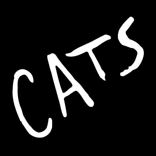 Casting Manager | Manage the Entire Casting Process